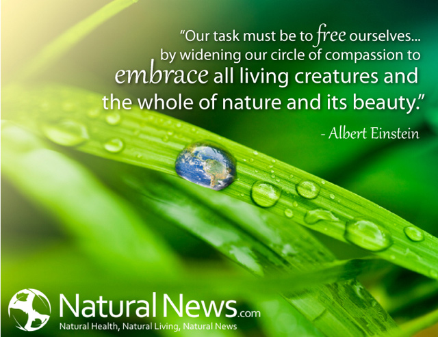 Our task must be to free ourselves…
