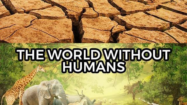 Walking is man's best medicine