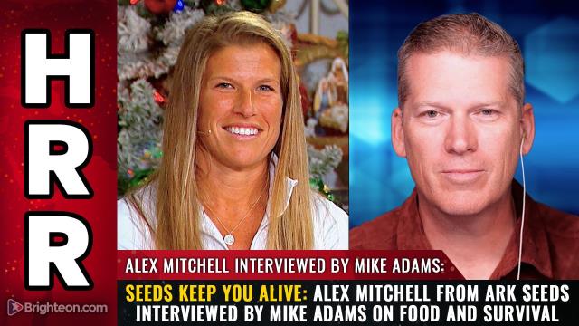 SEEDS keep you ALIVE: Alex Mitchell from Ark Seeds interviewed by Mike ...