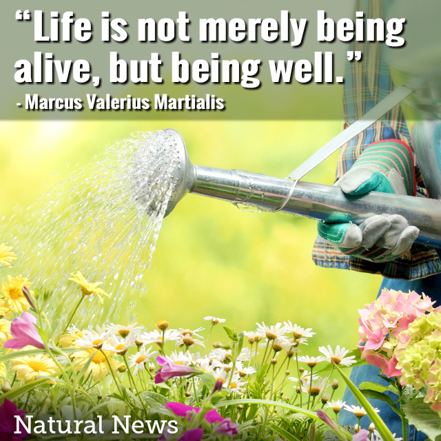 Life is not merely being alive, but being well - NaturalNews.com