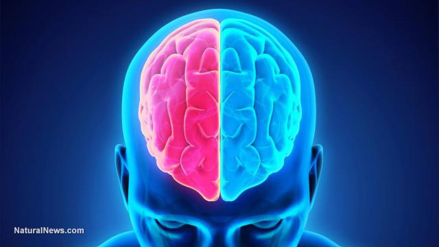Brain Training Games Shown To Prevent Dementia And Improve Mood 