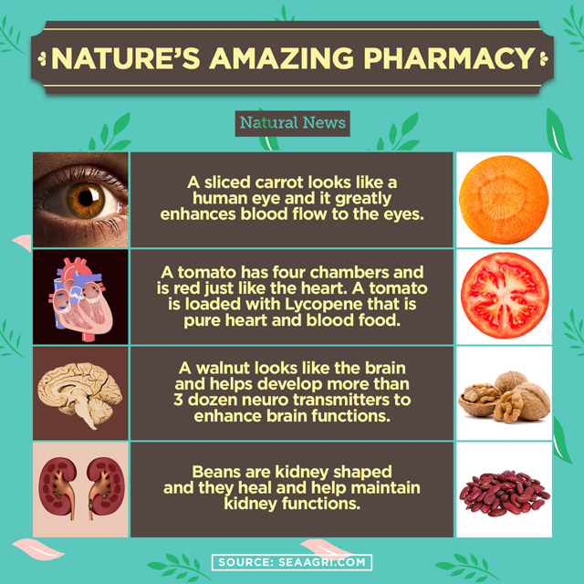 Nature's Amazing Pharmacy - NaturalNews.com