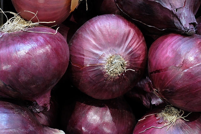 The remarkable Onion: An ancient medicinal herb and modern culinary ...