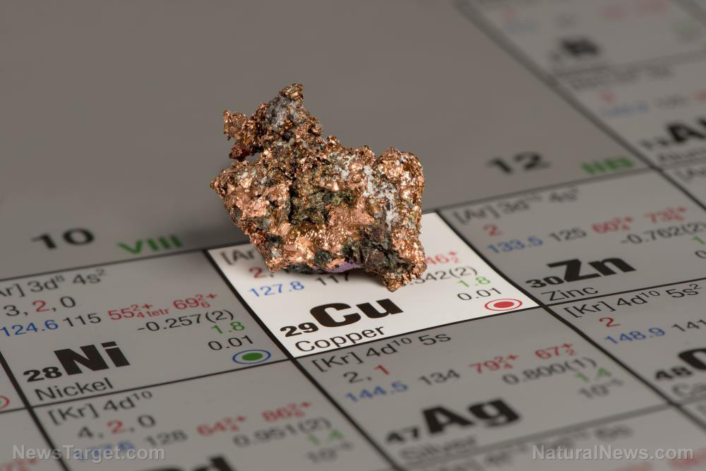The unsung mineral: How COPPER powers the body and why modern diets are ...